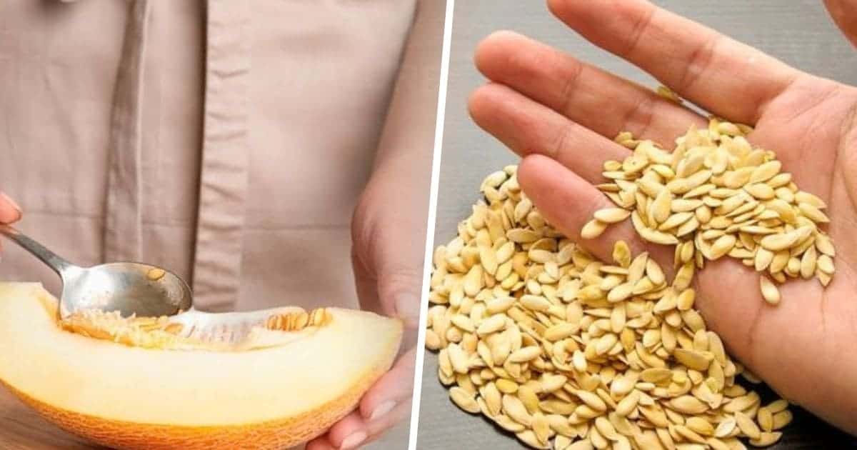 Don’t Toss Melon Seeds! Discover These 7 Health Benefits and How to Use ...