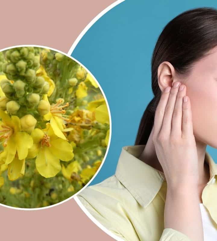 The 8 Surprising Health Benefits of Mullein You Need to Know