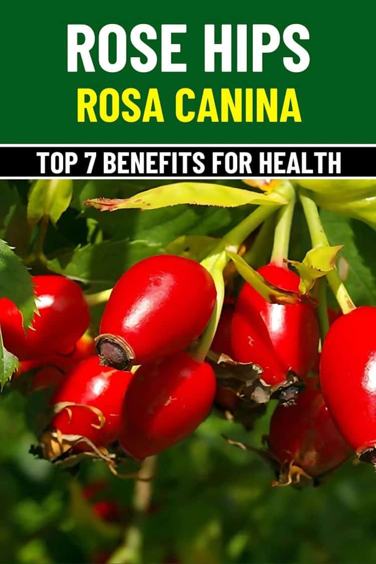 7 Reasons Rose Hip is a Must-Have in Your Wellness Routine
