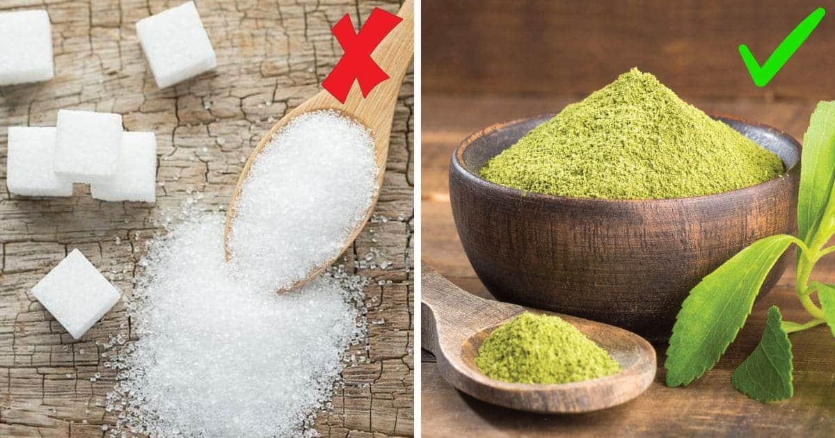 Stevia: Nature’s Sweet Alternative With 6 Health Benefits