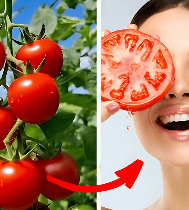 8 Reasons Why Tomatoes Should Be in Every Meal You Eat