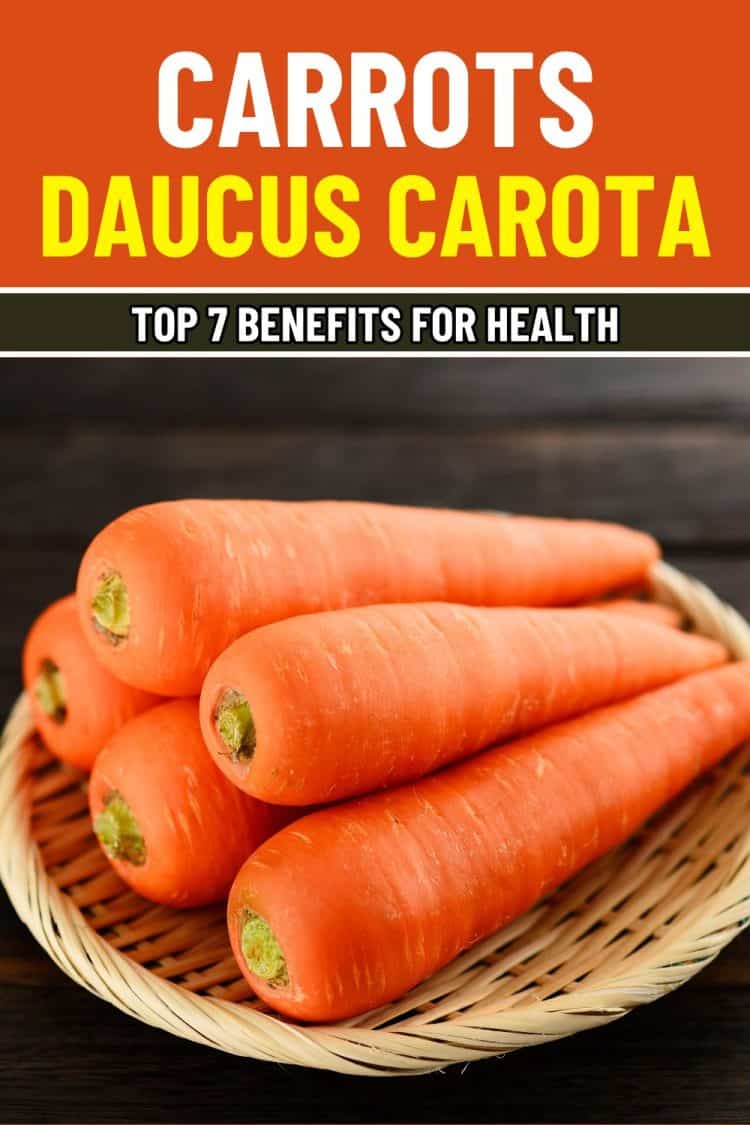 Why Carrots Should Be Your Go-To Superfood: 7 Health Benefits You Can't ...
