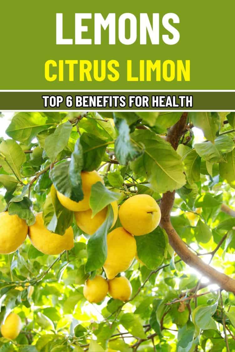6 Amazing Health Benefits of Lemons: Why You Should Add This Citrus ...