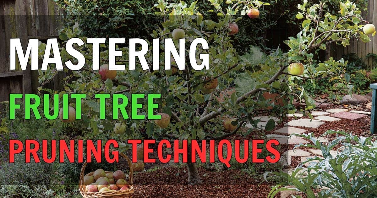 Guide on Mastering Fruit Tree Pruning: Techniques for Healthier Growth ...