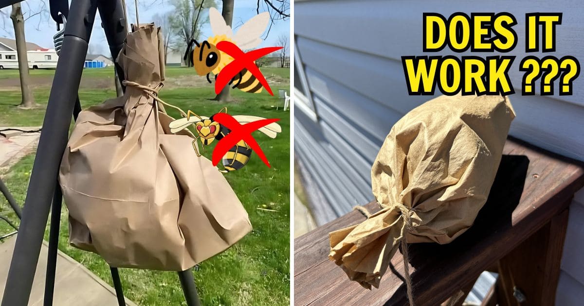 The Simple Paper Bag Trick to Keep Bees and Wasps Away - Without ...