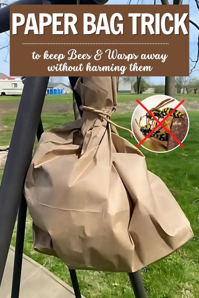 The Simple Paper Bag Trick to Keep Bees and Wasps Away - Without ...