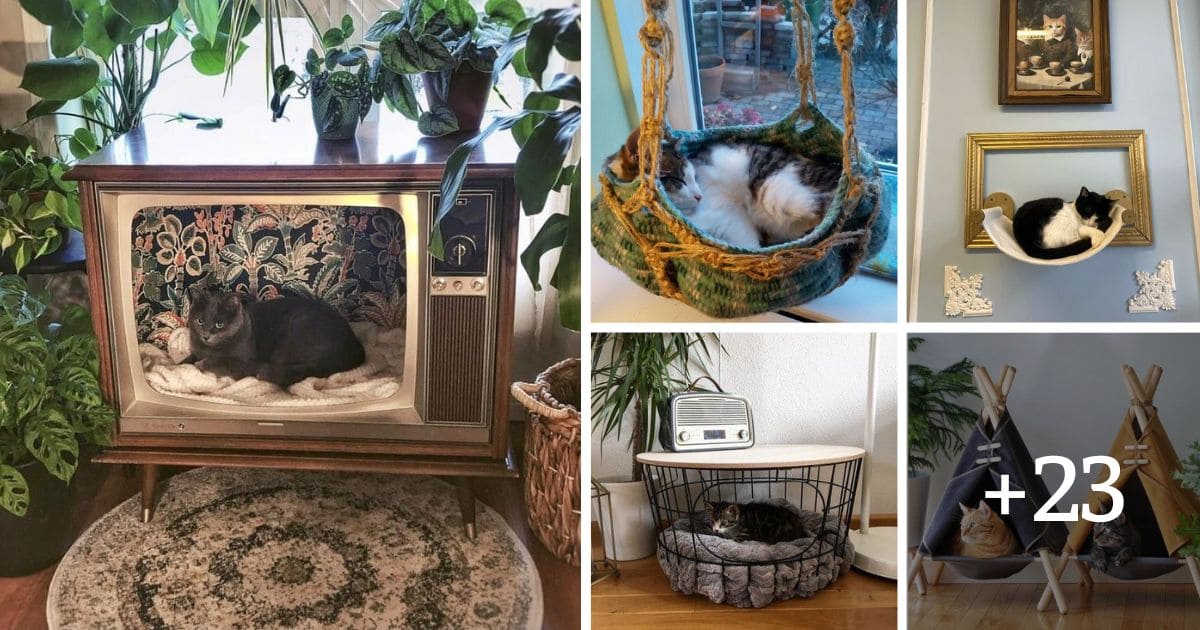 27 Adorable & Creative DIY Cat Nook Ideas for a Cozy Feline Retreat