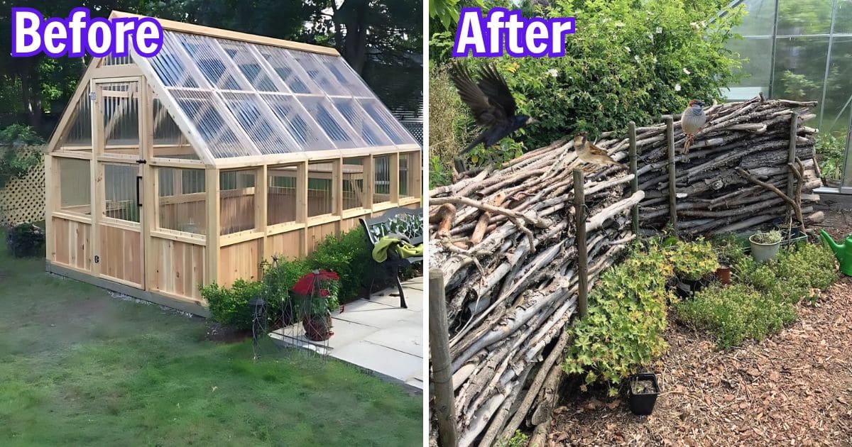 Nature’s Secret Barrier: How to Craft a Charming Dead Hedge in Your ...