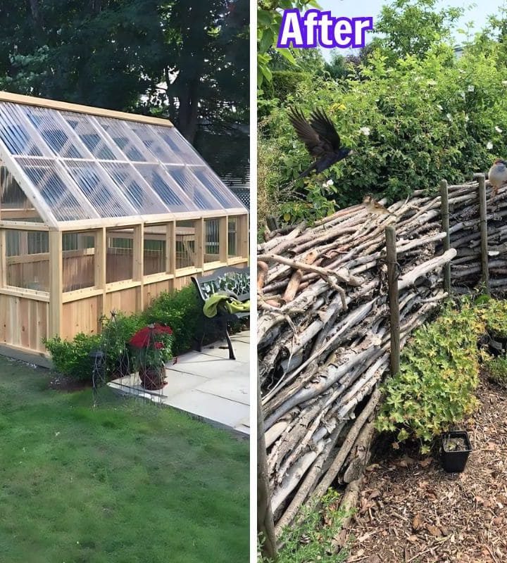 Nature’s Secret Barrier: How to Craft a Charming Dead Hedge in Your ...