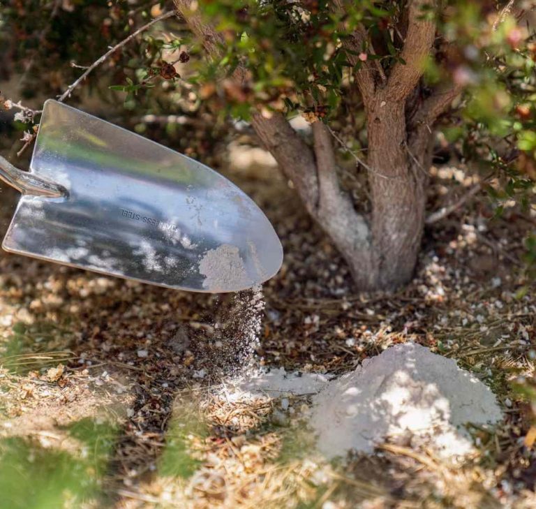 How to Make Garden Fertilizer From Bone Meal Scraps