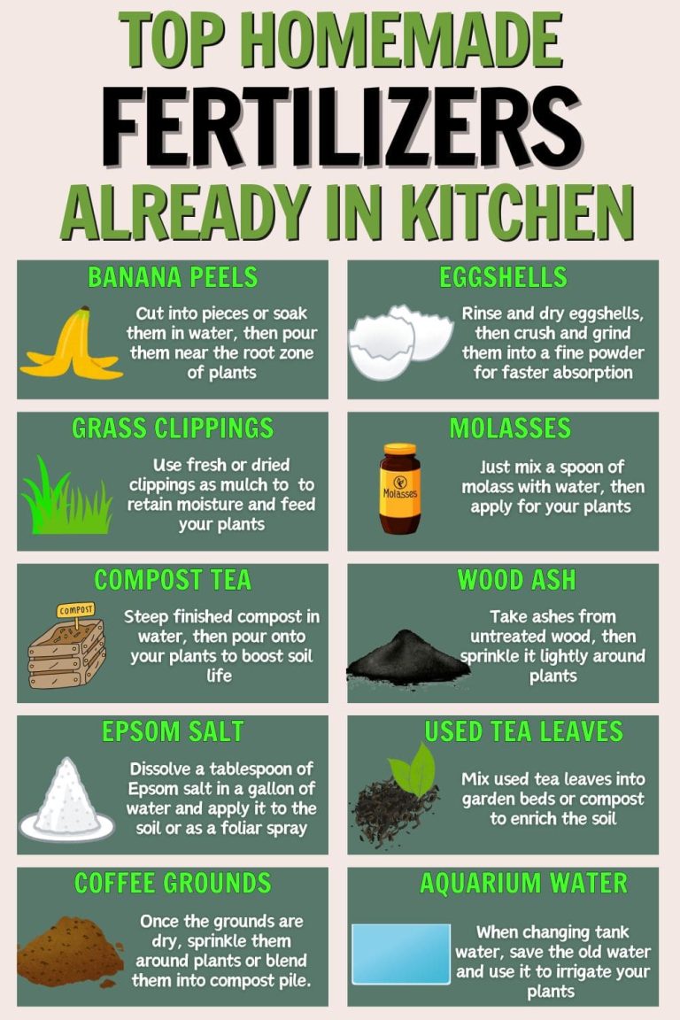 12 Homemade Fertilizers for Plants That Are Already in Your Kitchen