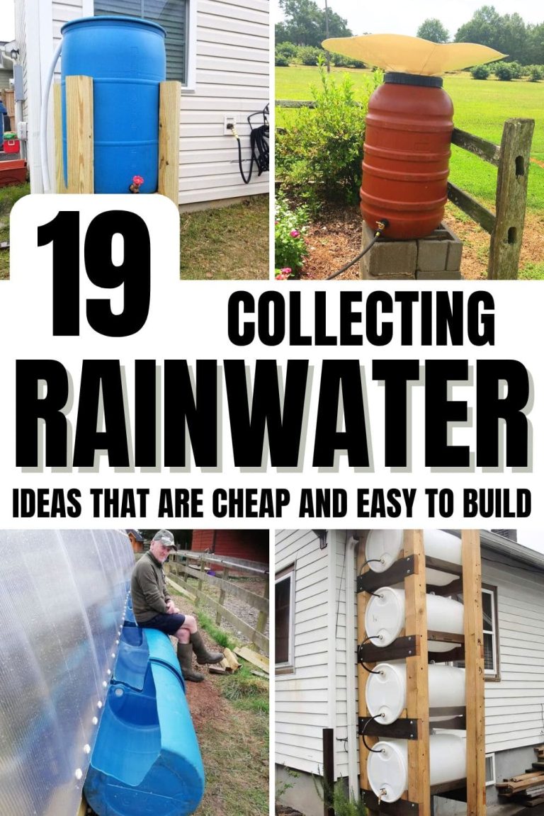 19 Rainwater Collecting Ideas That Are Functional, Beautiful, and Easy ...