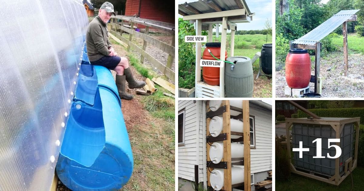 19 Rainwater Collecting Ideas That Are Functional, Beautiful, and Easy ...