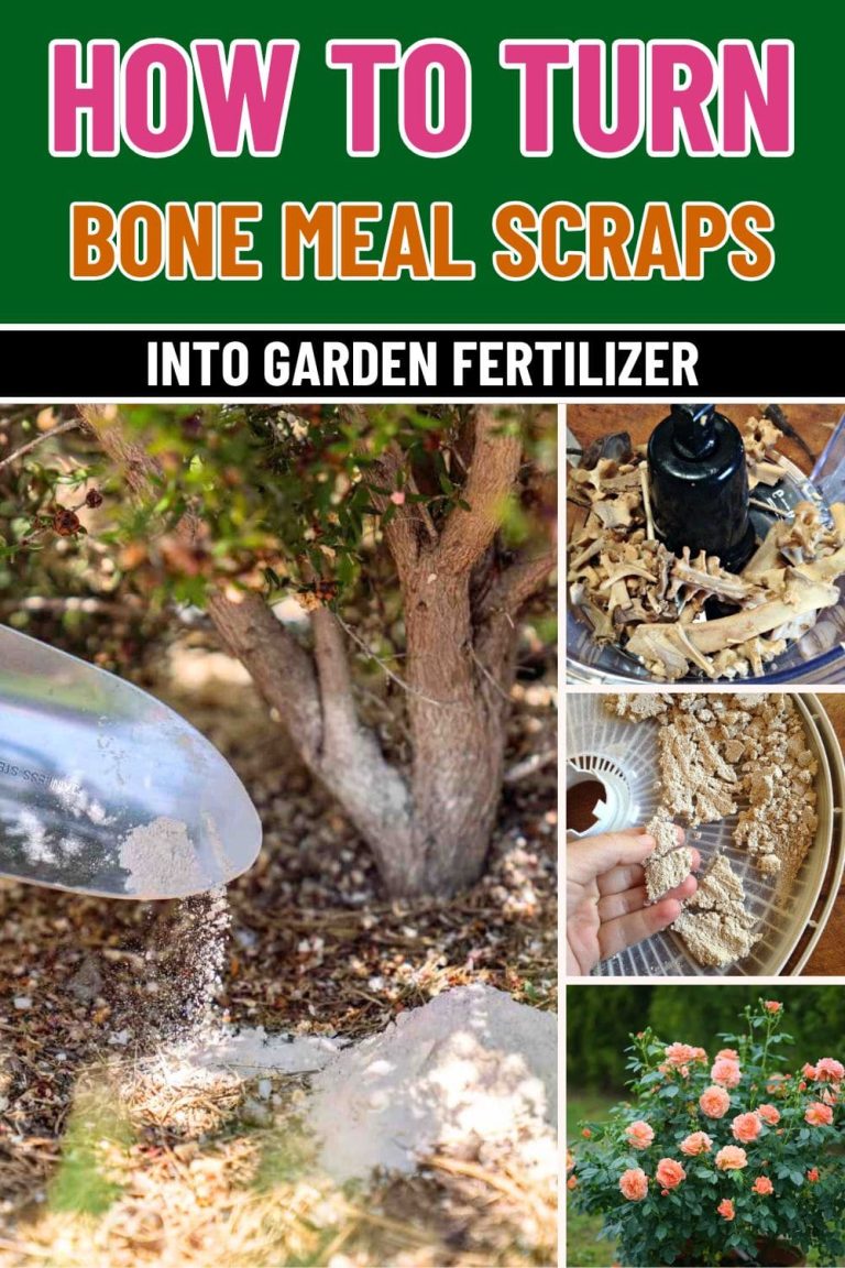 How to Make Garden Fertilizer From Bone Meal Scraps