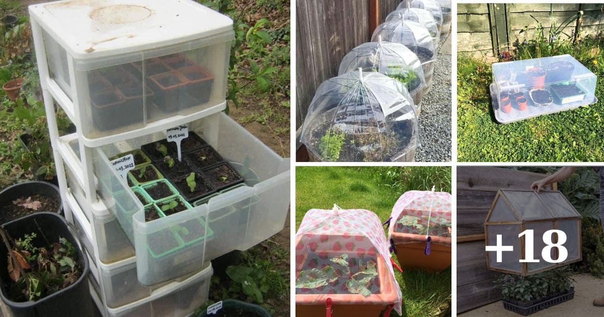 22 Creative Mini Greenhouse Projects That’ll Keep Your Plants Happy and ...