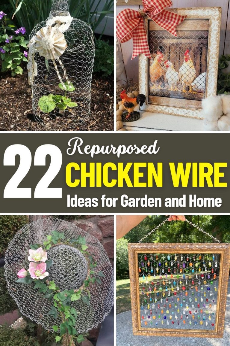 22 Creative Chicken Wire Projects to Transform Your Home and Garden