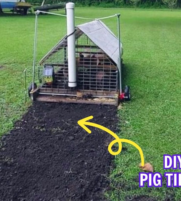 How I Built a Simple Pig Tiller That Runs on Food Scraps, Not Fuel