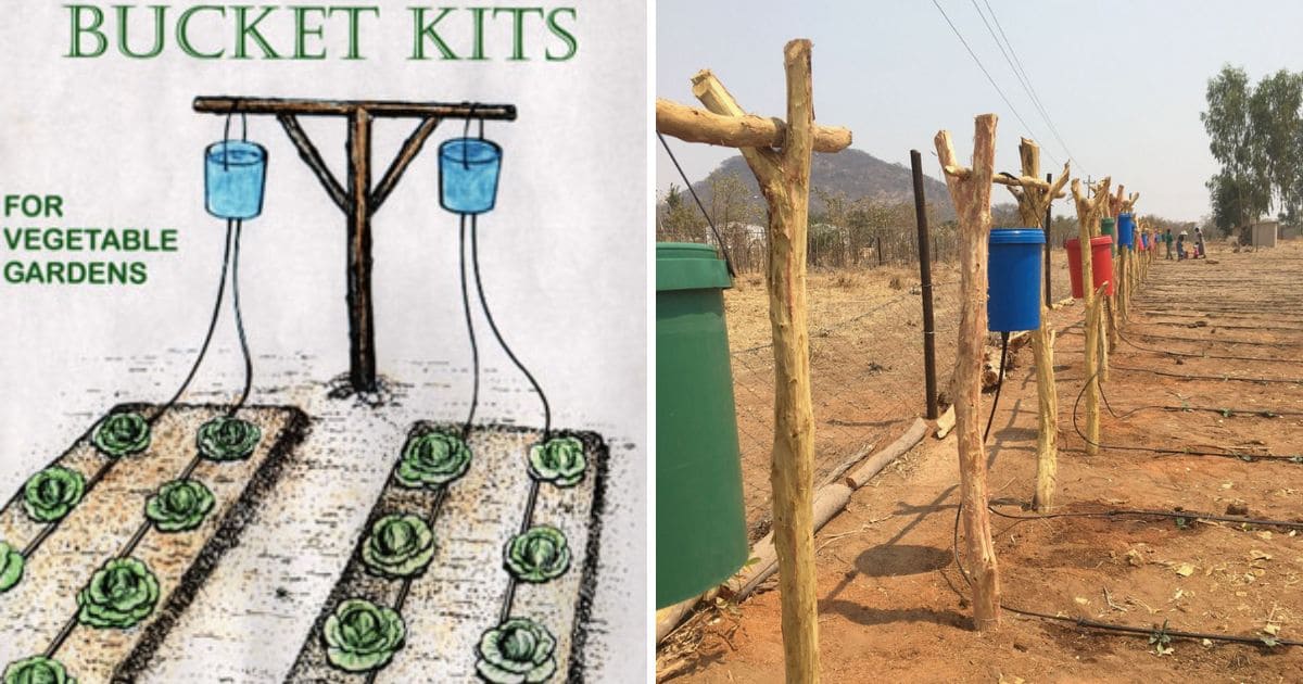 Chapin Bucket Irrigation Conserves Every Drop And Here's Your Guide