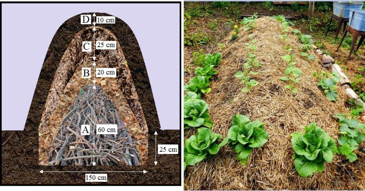 How to Build A Hugelkultur Gardening Bed That Feeds Itself And Thrives ...