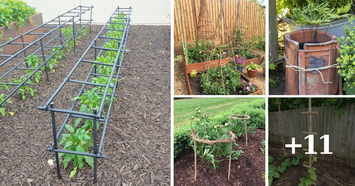 15 Plant Support Ideas That Will Help Your Garden Thrive All Season