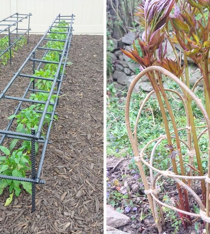 15 Plant Support Ideas That Will Help Your Garden Thrive All Season