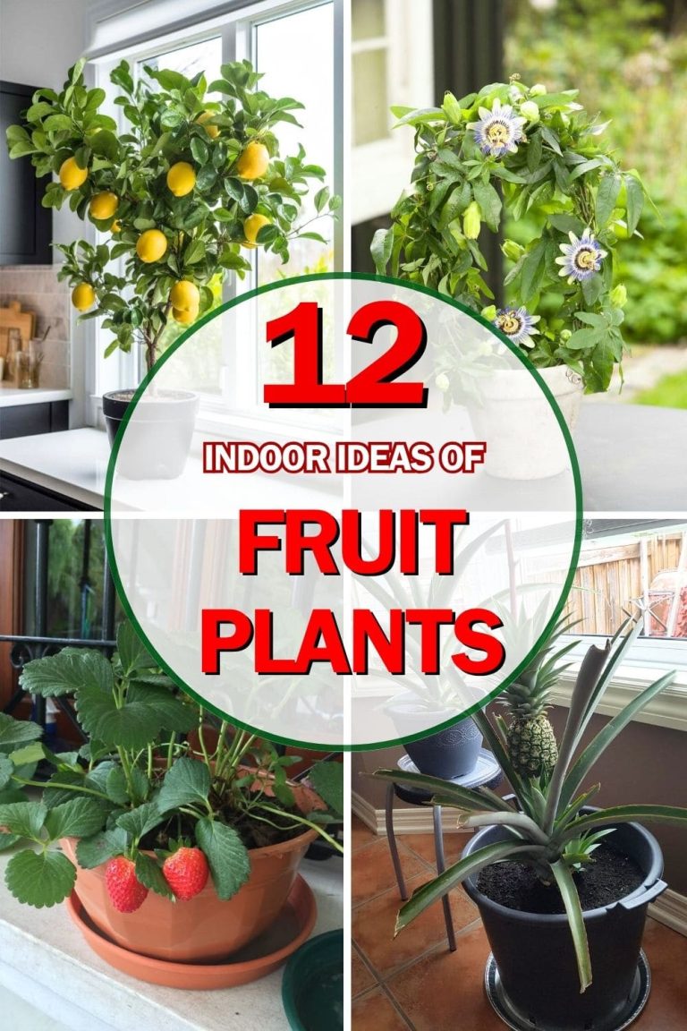 15 Indoor Fruit Plants That Bring Freshness Right to Your Home