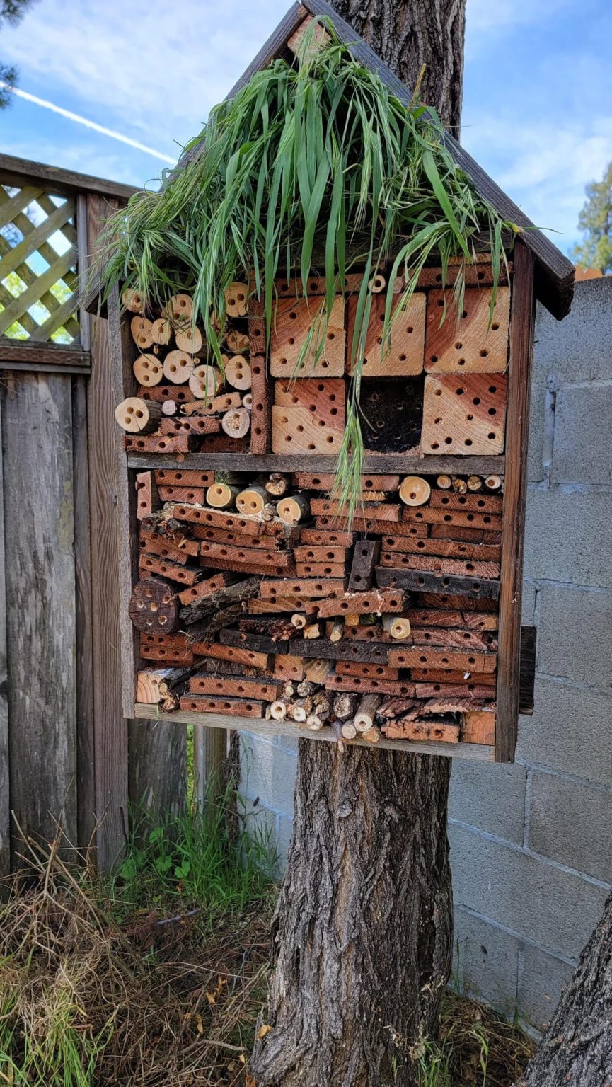 21 DIY Bee and Insect Hotel Ideas That’ll Turn Your Garden Into a ...