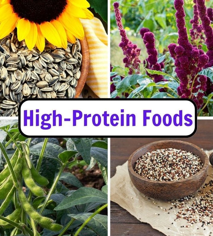 Boost Protein in Your Garden With These 8 Super Foods