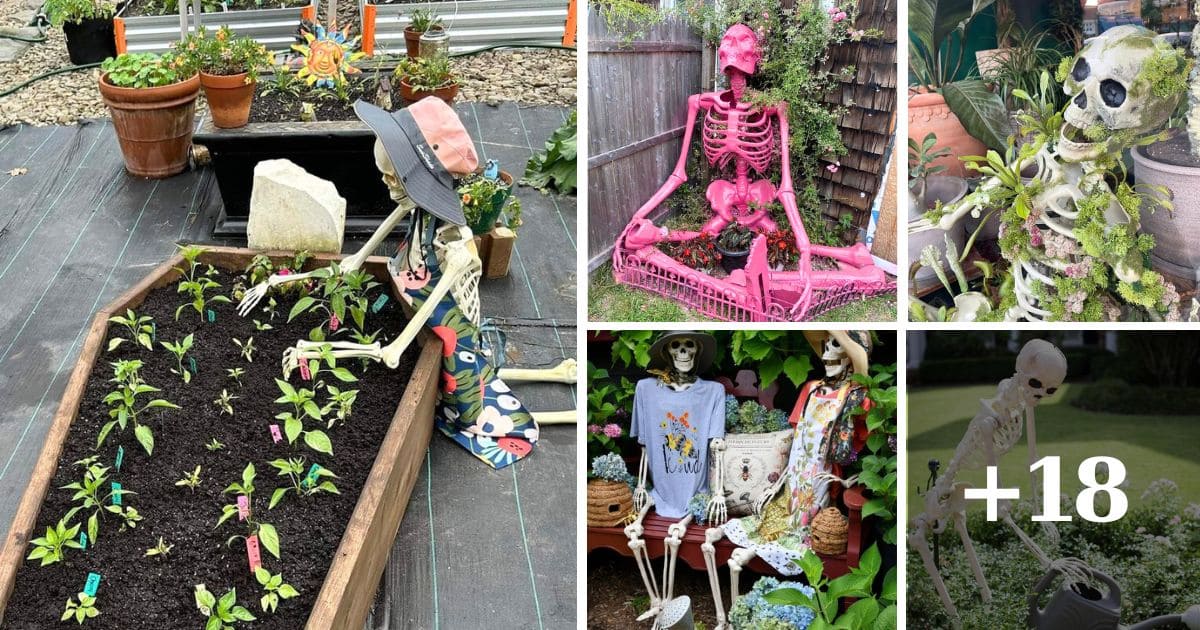 Turn Your Garden into a Bone-Afide Party With These 22 Skeleton ...