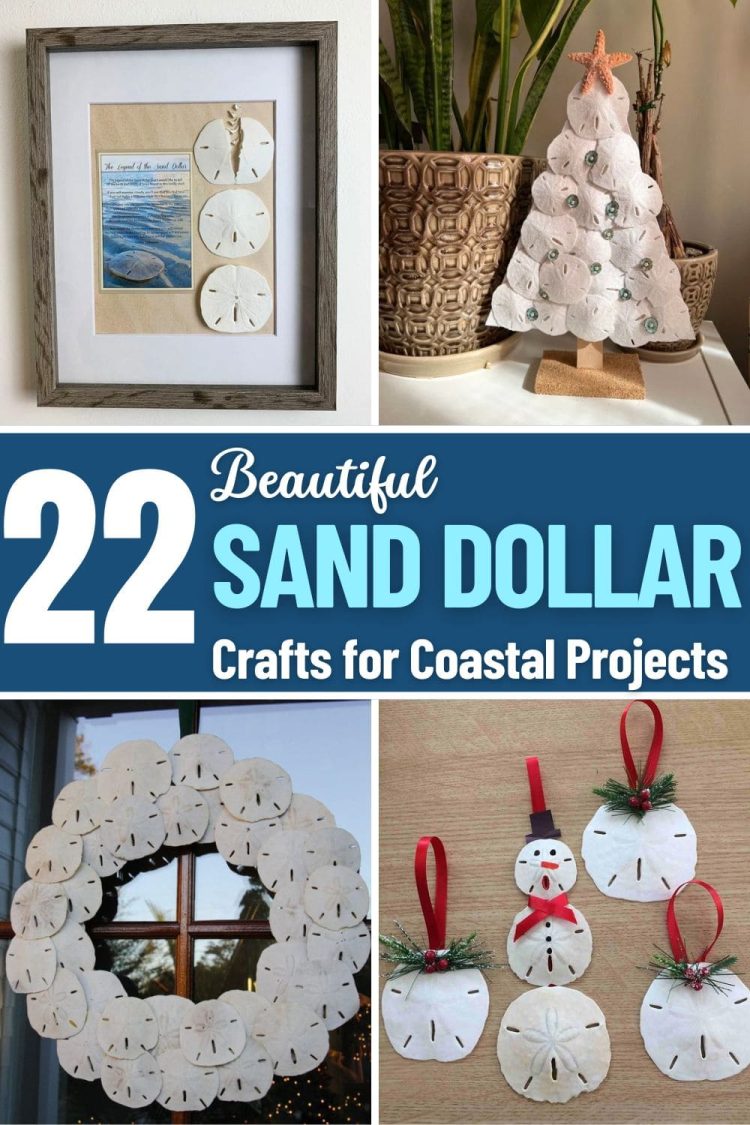 22 Elegant Sand Dollar DIYs to Infuse Your Space With Seaside Vibes