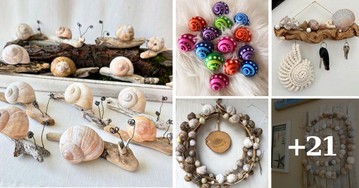 25 Inspiring Ways to Turn Snail Shells Into Stunning Handmade Decor