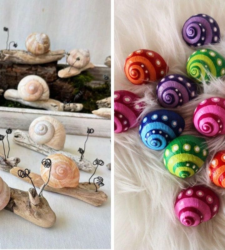 25 Inspiring Ways to Turn Snail Shells Into Stunning Handmade Decor
