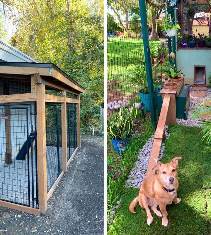 7 DIY Cheap Dog Run Ideas to Build in Your Backyard