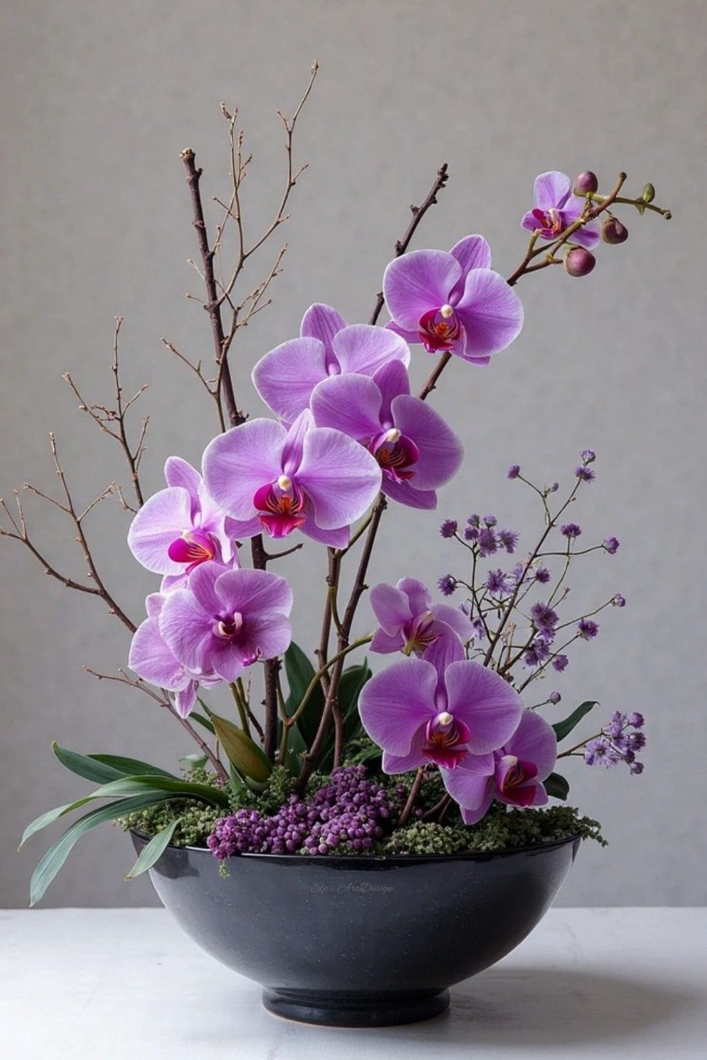 8 Best Orchid Colors and Their Meanings