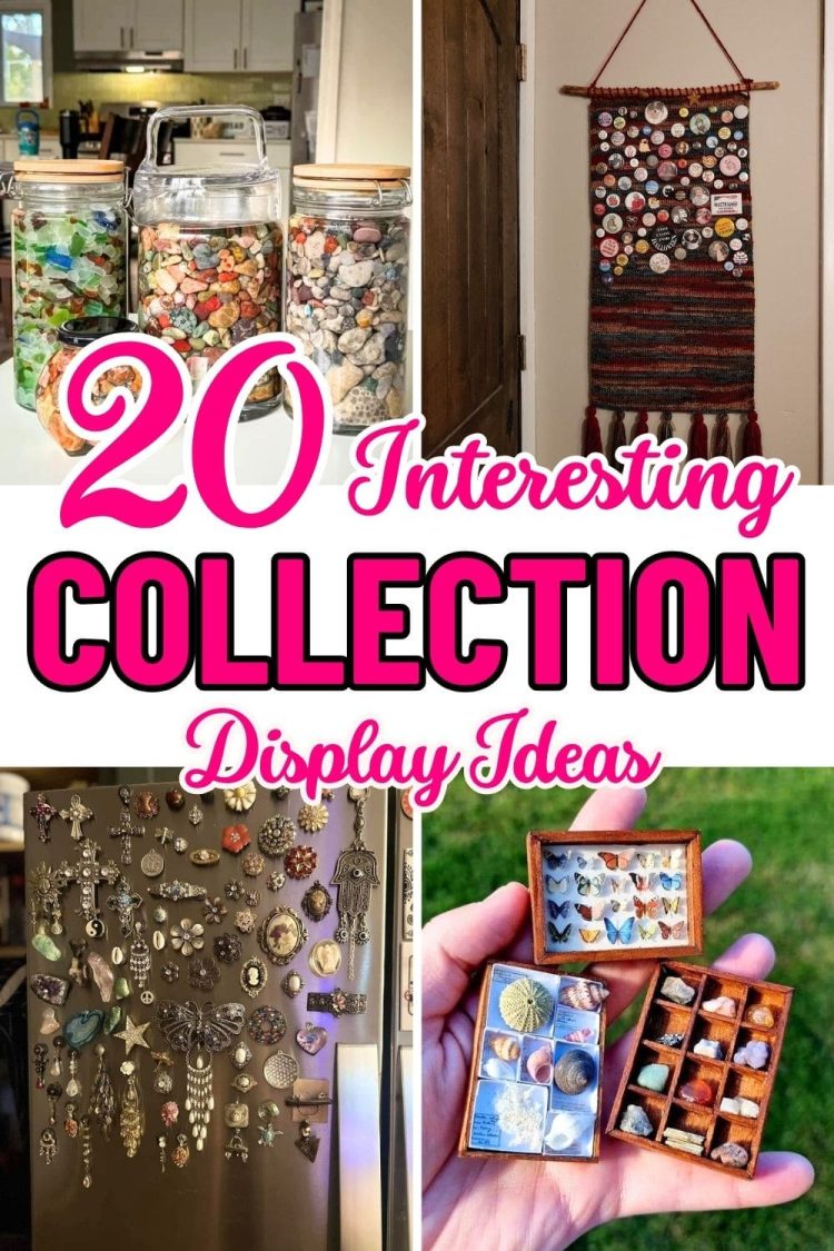 20 Display Ideas to Showcase Your Favorite Collections