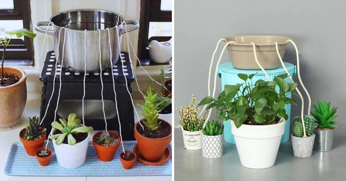 Here's the Best Way to Water Plants When on Vacation