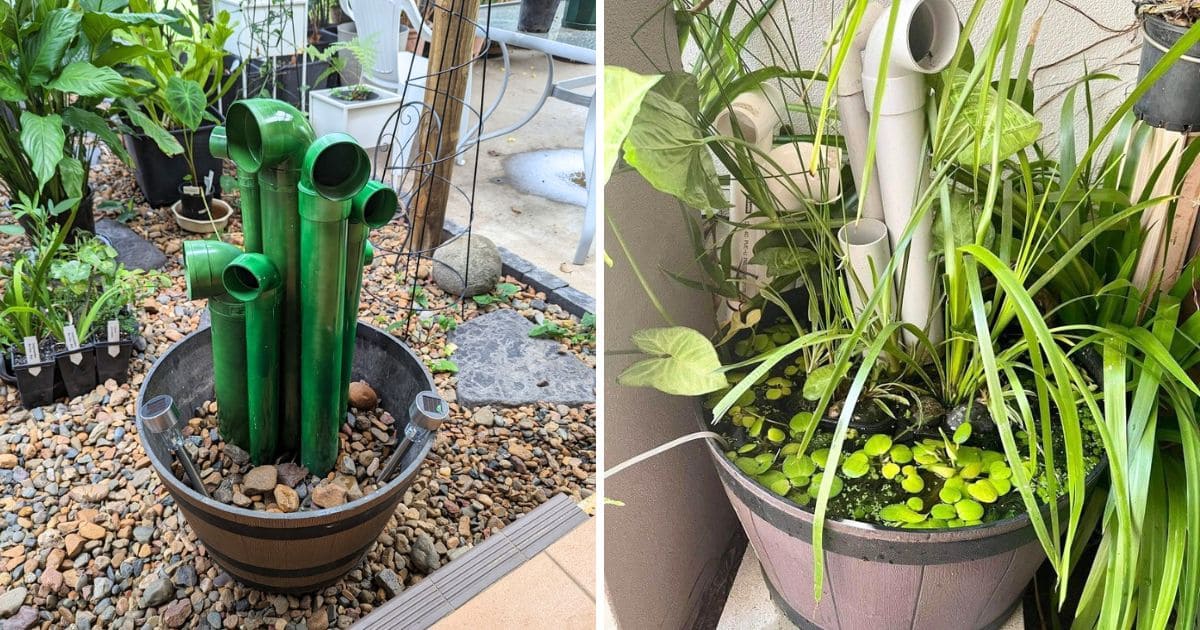 How to Build a Frog Hotel in Your Garden