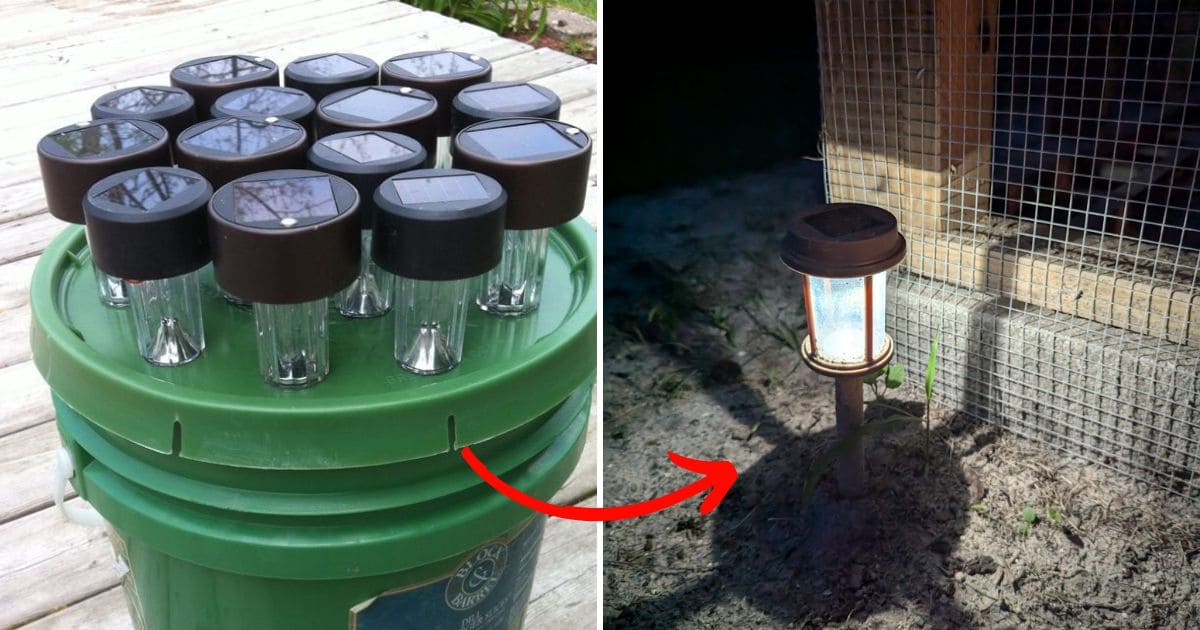 How to Use Solar Lights to Brighten Your Home During Power Outages