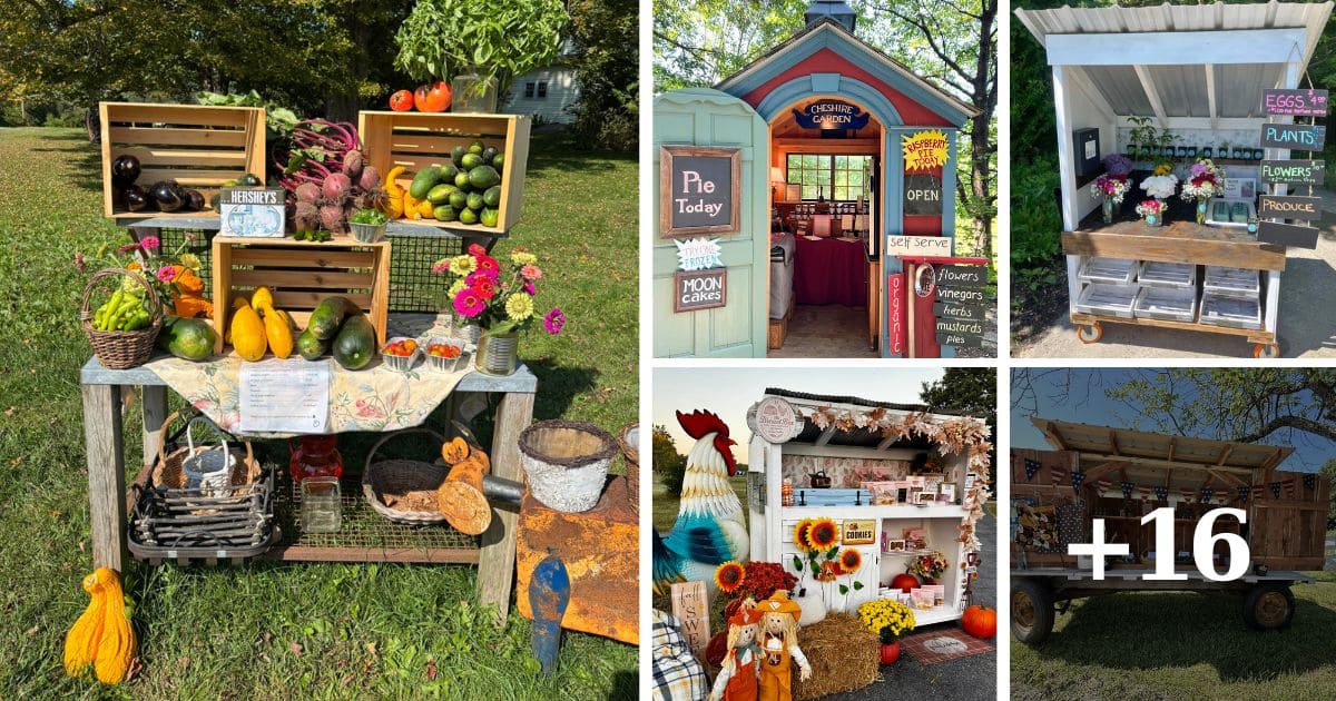 22 Charming DIY Farm Stand Ideas to Inspire Your Homestead
