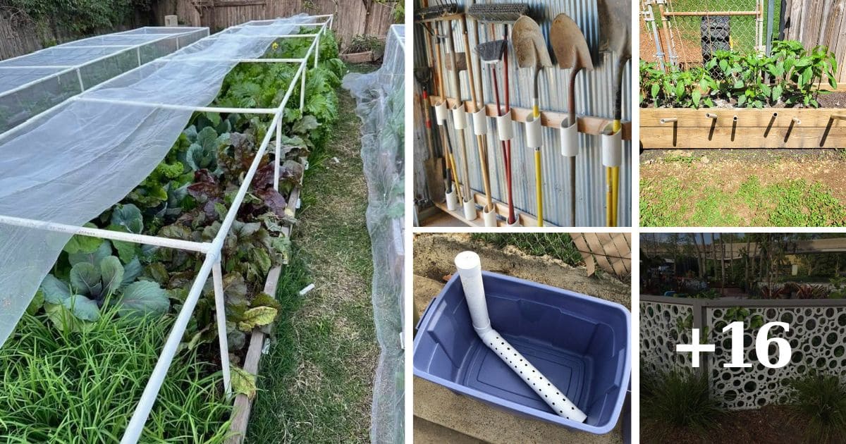 20 Creative DIY PVC Pipe Projects for Your Garden